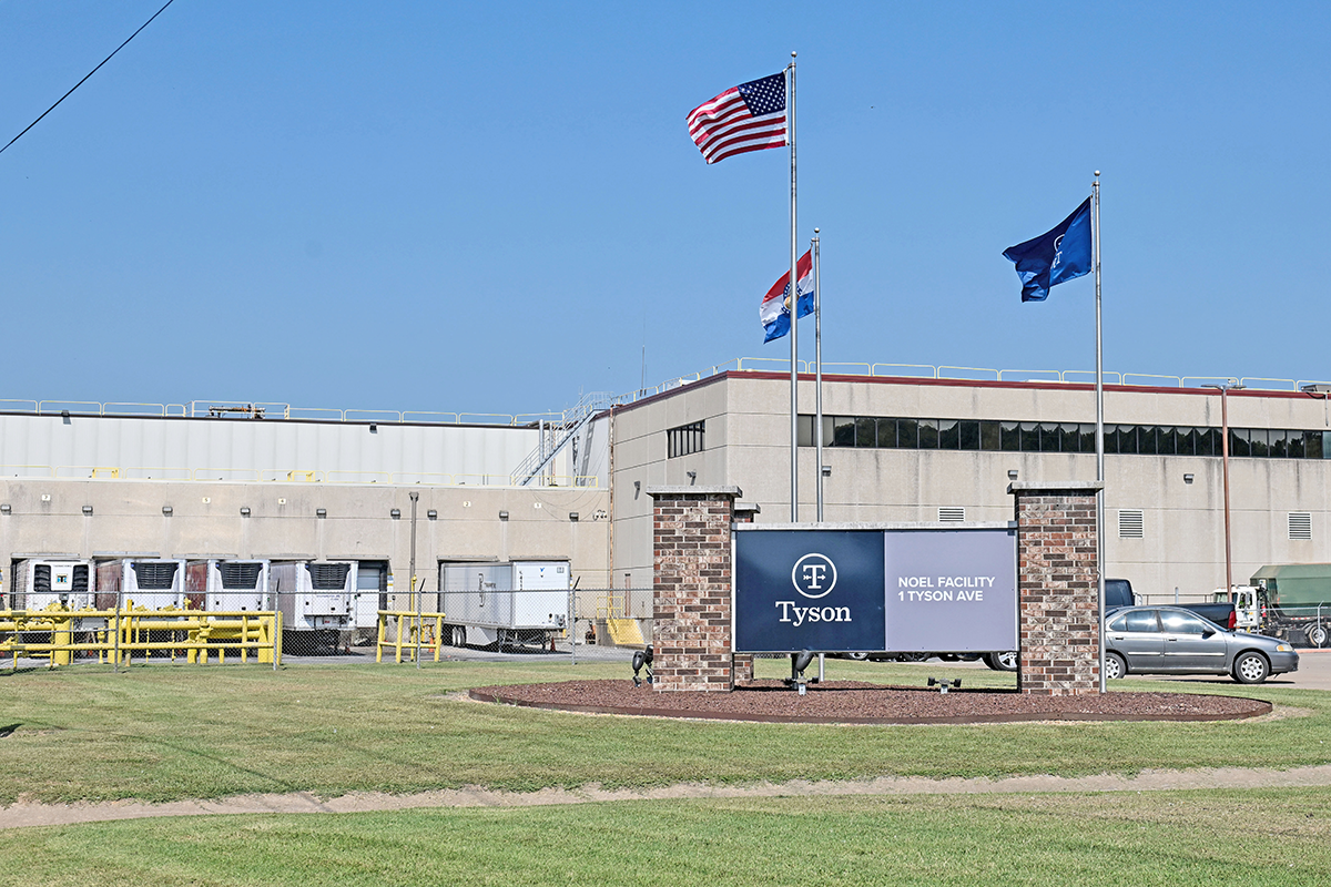 Tyson Foods Financial Recovery: Turning the Tide in 2024
