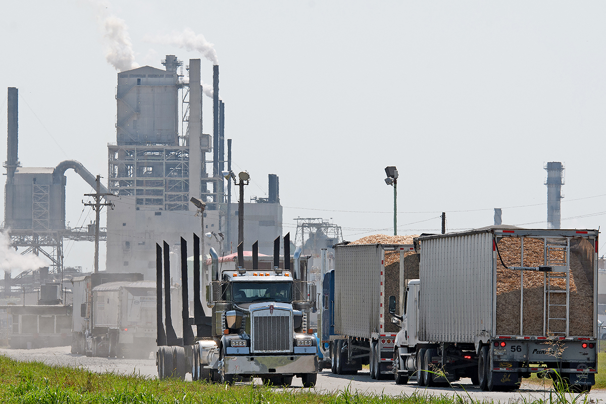 After $110M Sale, Pine Bluff Paper Mill Takes Stock