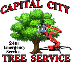 Arkansas Attorney General's Office Sues Capital City Tree Service for ...