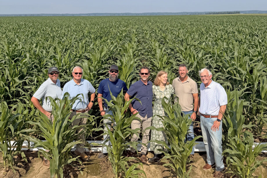 Northeast Arkansas Farmers Are Growing Corn That Could Replace Sugar